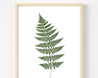 Pressed Fern Print, 8 X 10 Matted, Arborvitae Fern, Home and Garden ...