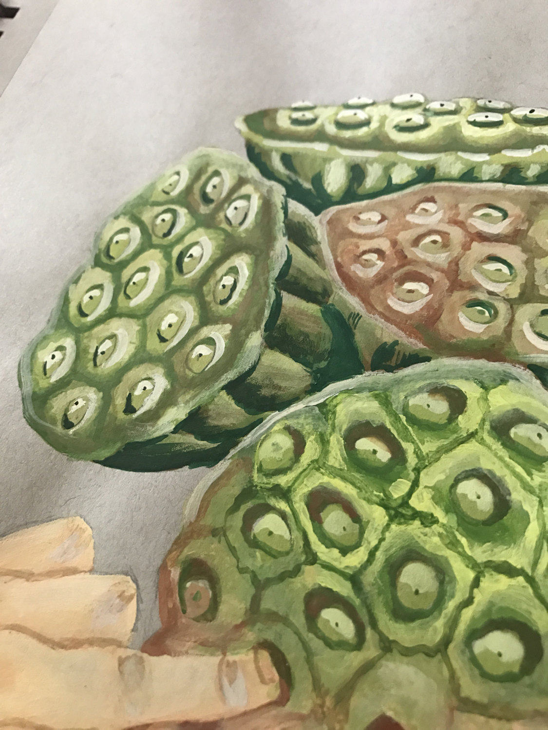 Trigger Warning: Trypophobia "pod Exploration" 9x12 Original/ook ...