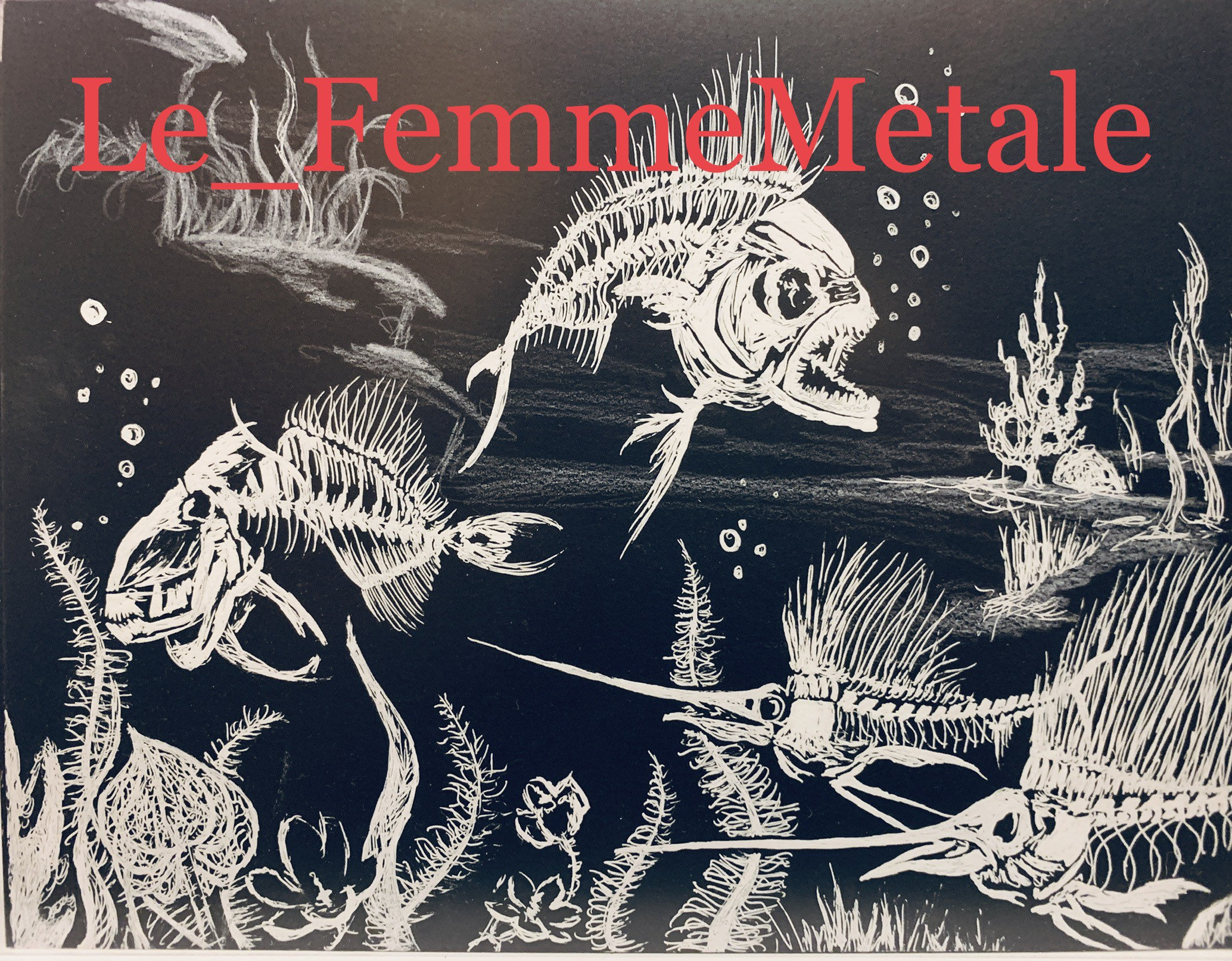 Skeleton Fish Bones Underwater Deep Sea Ink Art 12x9 on Black Paper ...