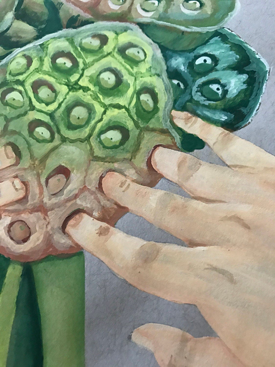 Trigger Warning: Trypophobia "pod Exploration" 9x12 Original/ook ...