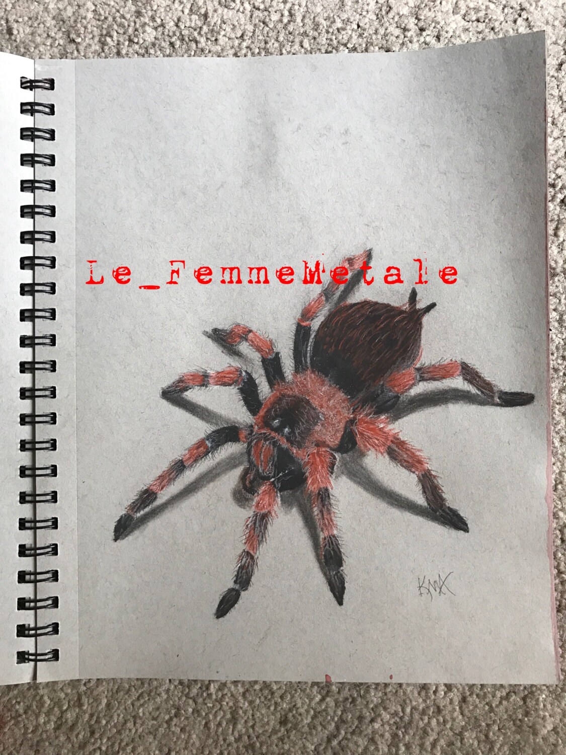 Tarantula Arachnophobia "spider Friend" 9x12 Original Conte/charcoal ...