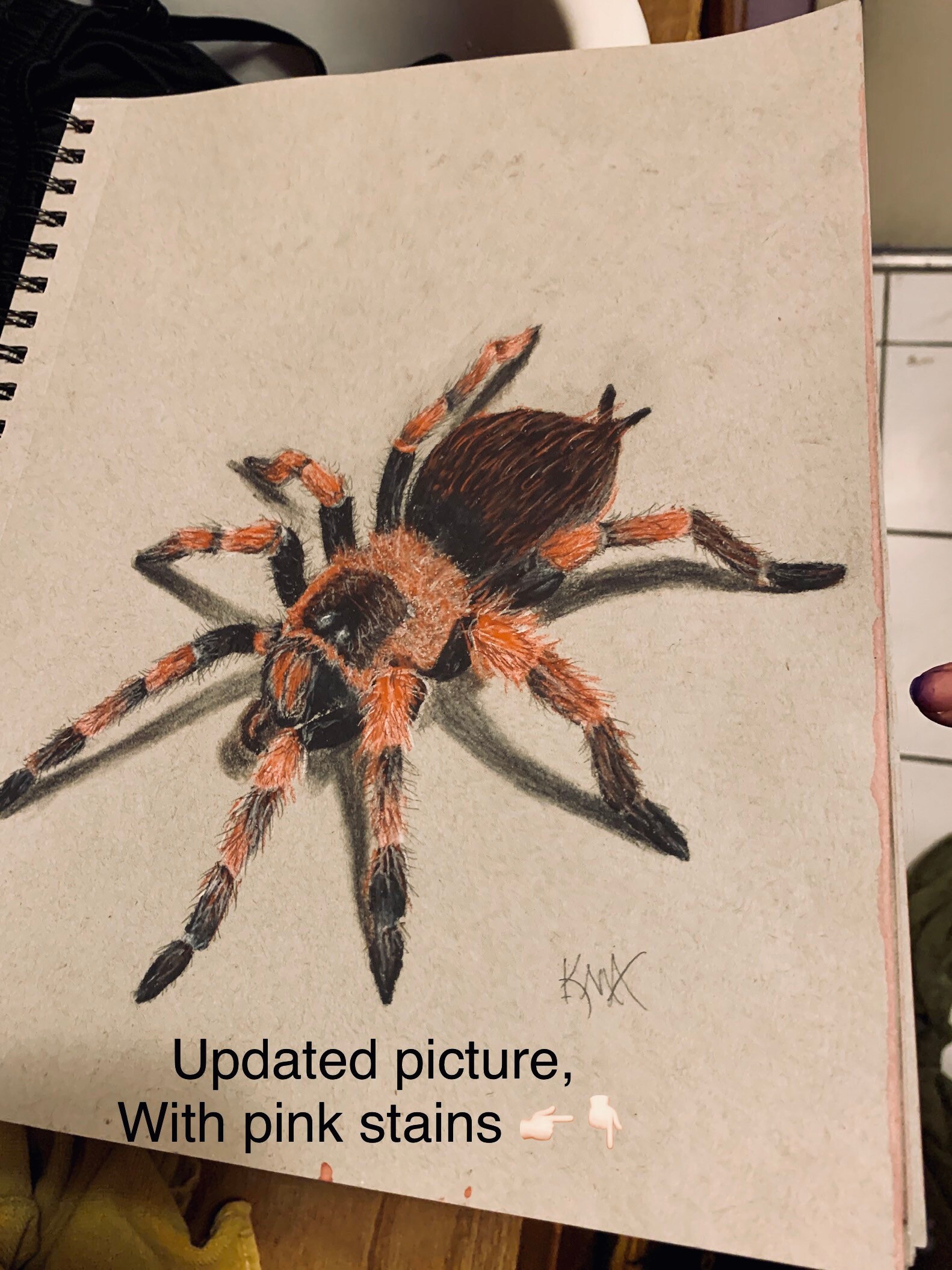 Tarantula Arachnophobia "spider Friend" 9x12 Original Conte/charcoal ...