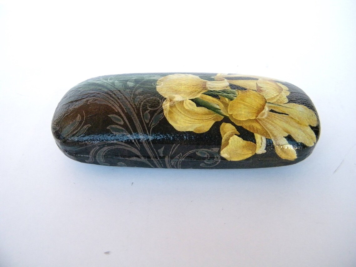 Iris Hard Eyeglasses Case Glasses Protector Women Spectacle | Etsy