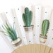Cactus Hand Fan Botanical Hand Fan Suculent Lovers Hand Fan - Etsy