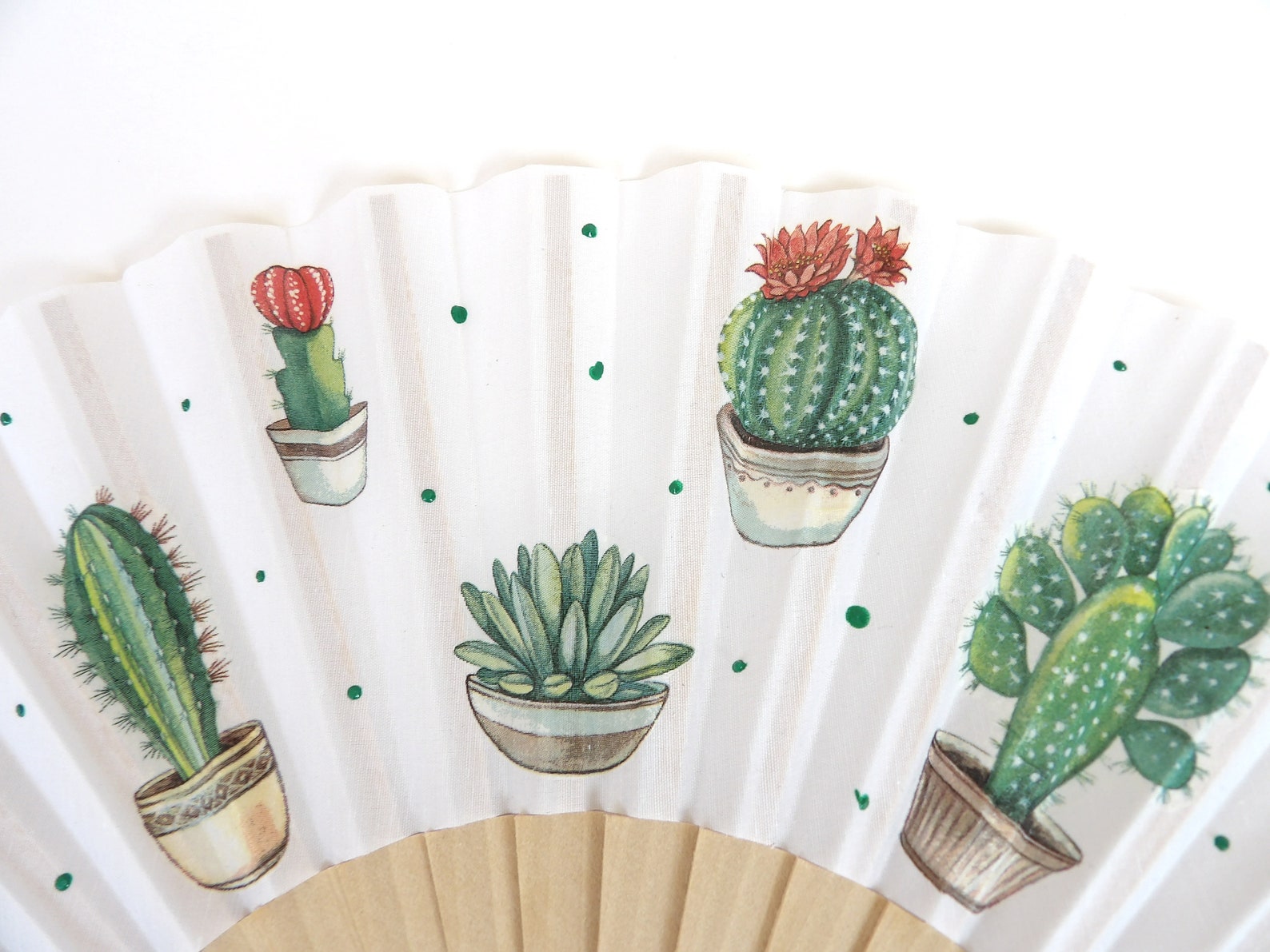 Cactus Hand Fan Botanical Hand Fan Suculent Lovers Hand Fan - Etsy
