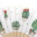Cactus Hand Fan Botanical Hand Fan Suculent Lovers Hand Fan - Etsy