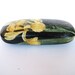 Iris Hard Eyeglasses Case Glasses Protector Women Spectacle - Etsy