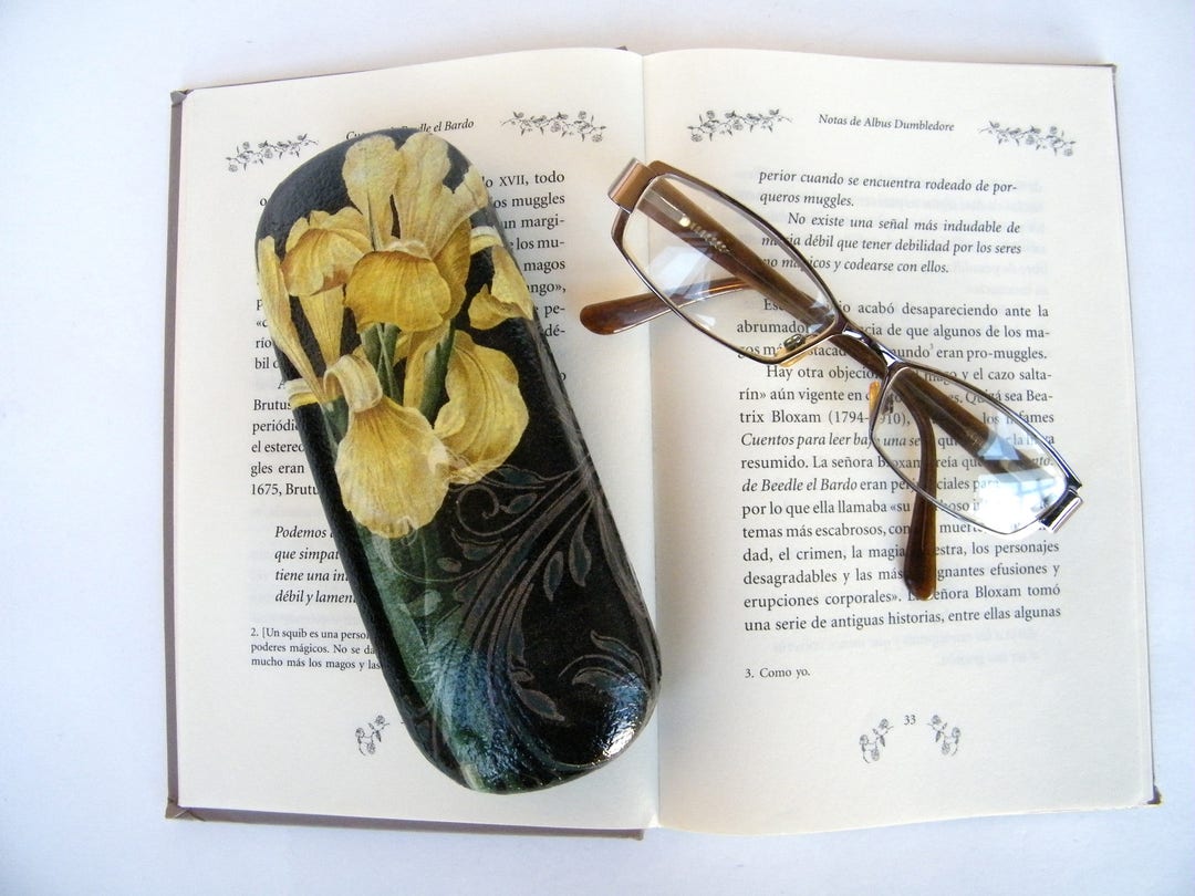 Iris Hard Eyeglasses Case Glasses Protector Women Spectacle - Etsy
