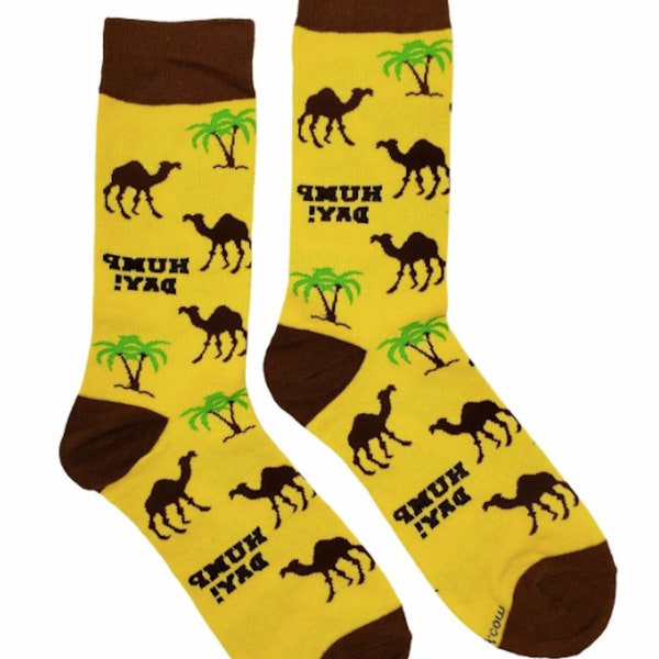 Hump Day Camel - Etsy