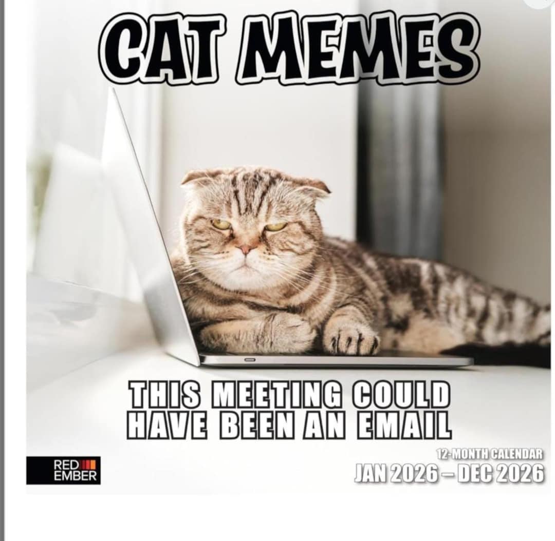 Cat Memes 2026 Wall Calendar, Funny Hilarious Felines Scenarios! - Etsy