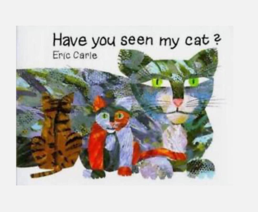 Have You Seen My Cat? by Eric Carle - Etsy