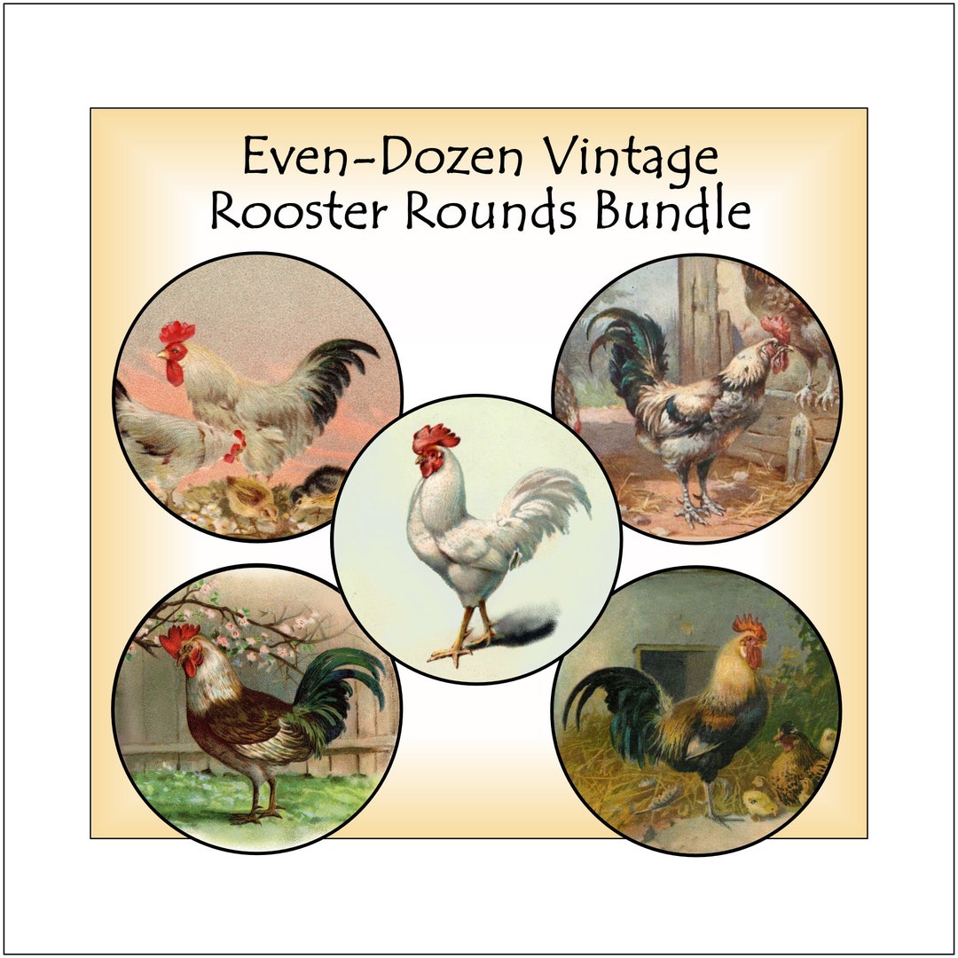Vintage Roosters, Rounds- PRINTABLE Rounds for Christmas Ornaments ...