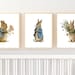 Peter Rabbit Inspired Watercolor Prints Set of 3, Nursery Art, Kids ...