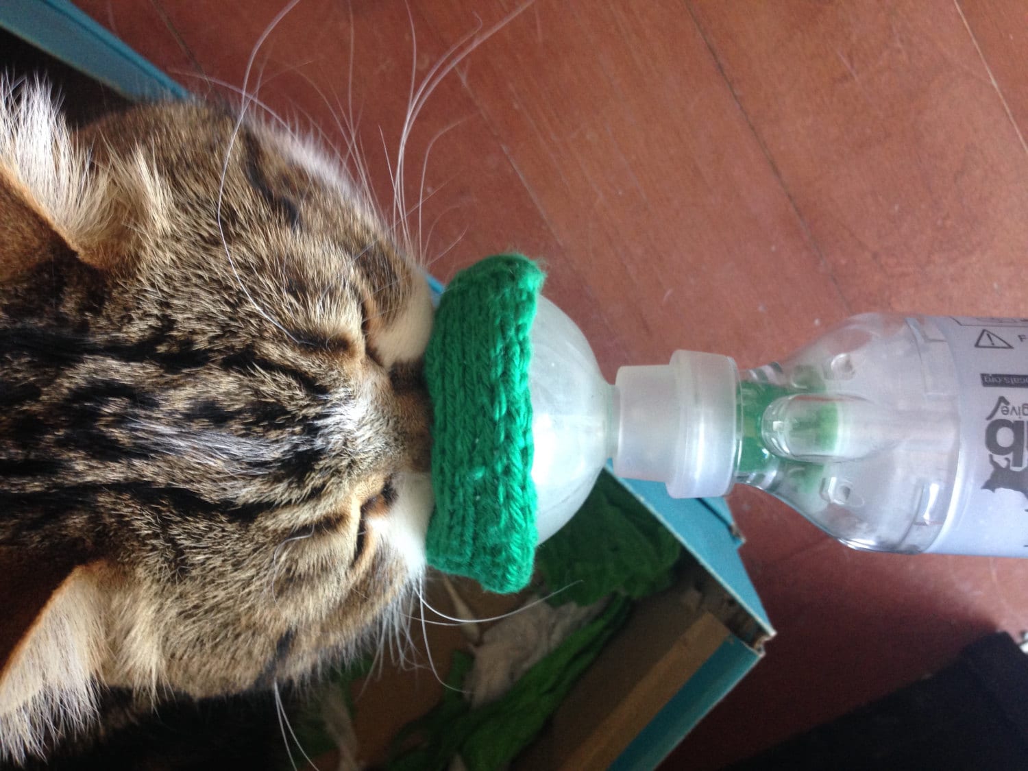 Large Aerokat Feline Asthma Inhaler Knit Cover: Green - Etsy