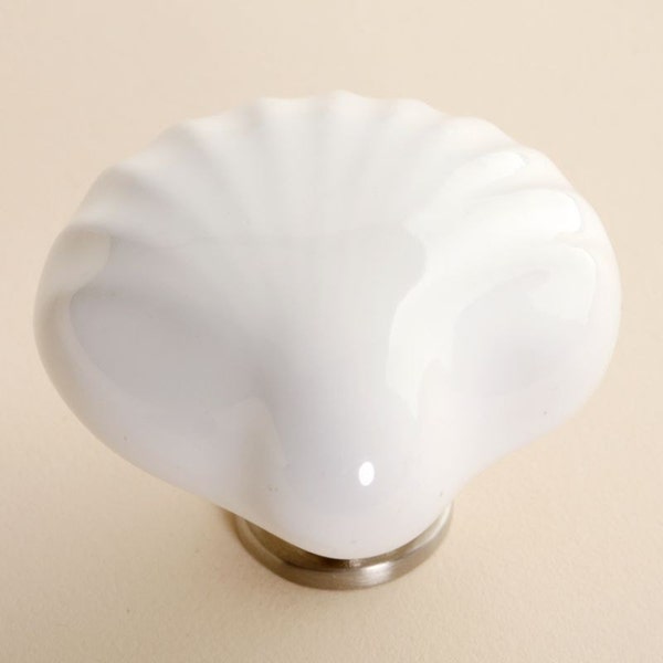 Shell Knob - Etsy