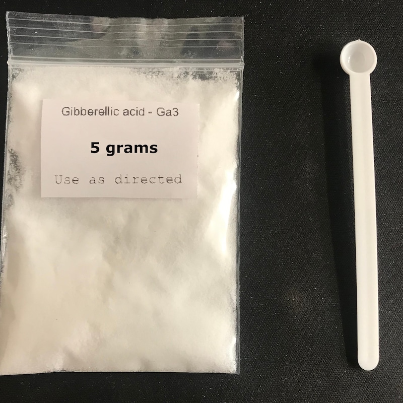 3 Spoons Gram - Etsy