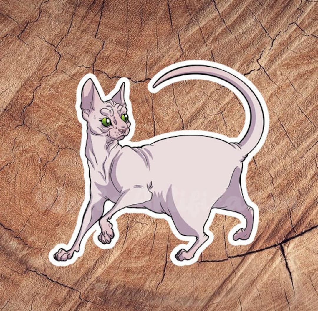 Sphynx Cat Sticker, Waterproof Stickers, Laminated Stickers, Gift for ...