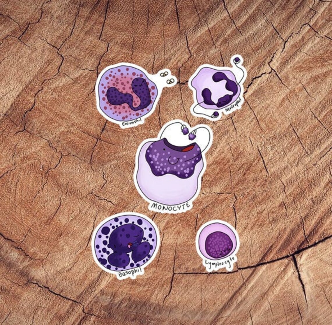 White Blood Cell Stickers Set of 5 Waterproof Stickers - Etsy