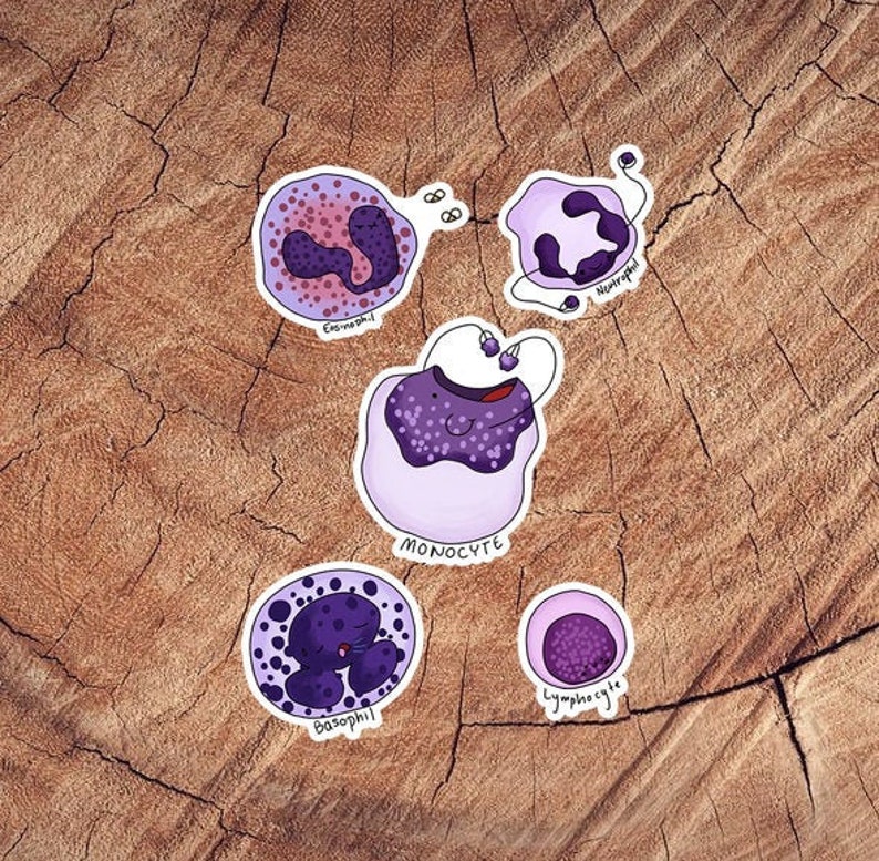 White Blood Cell Stickers Set of 5 Waterproof Stickers - Etsy