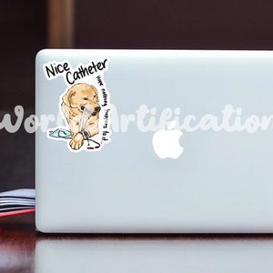 IV Catheter Sticker, Waterproof Sticker, Laminated Sticker, Vet Med ...