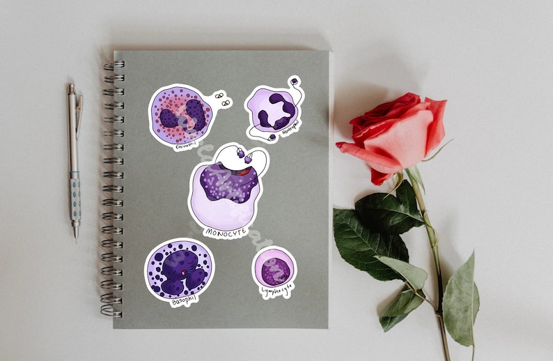 White Blood Cell Stickers Set of 5 Waterproof Stickers - Etsy