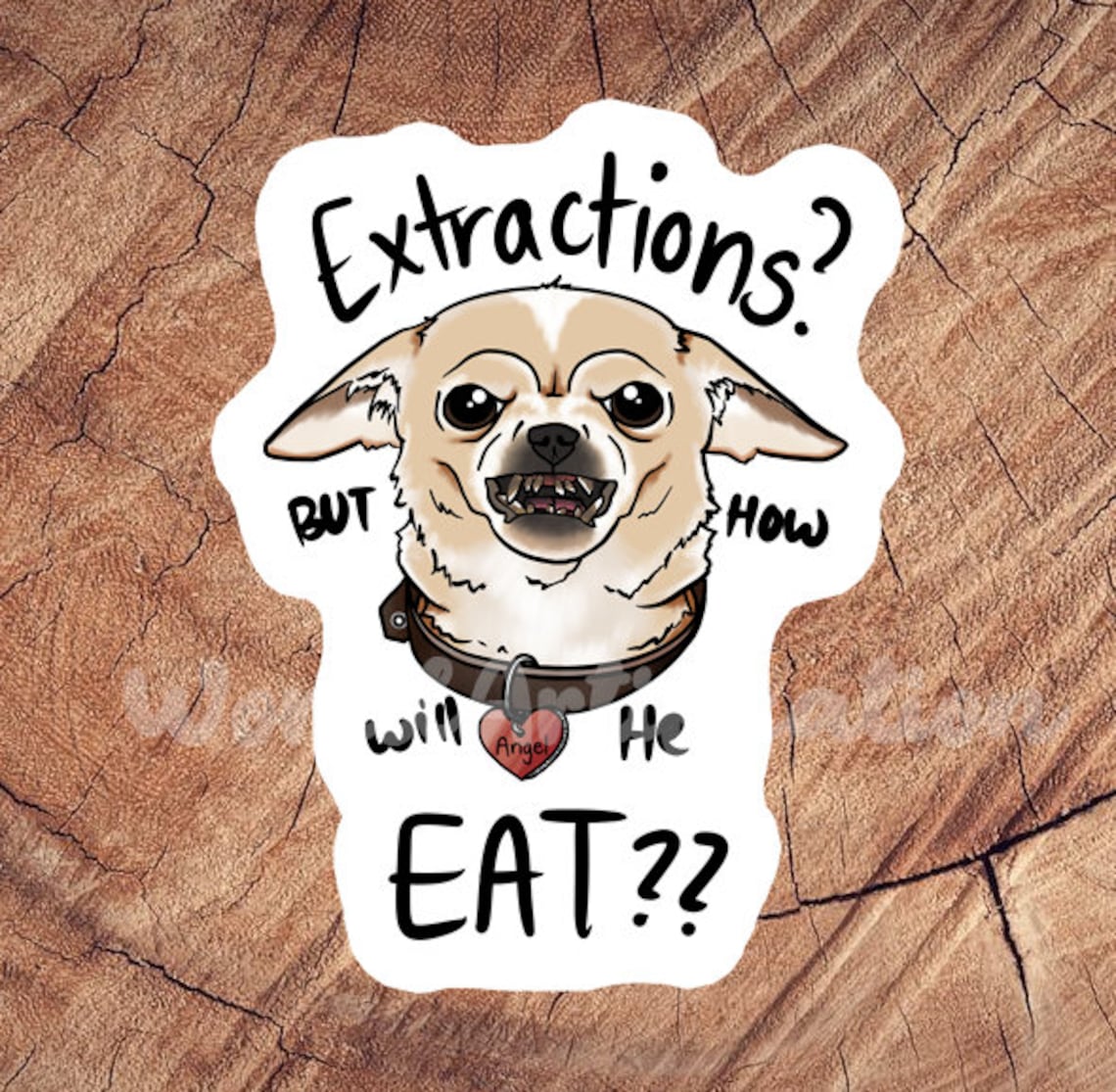 Extractions Sticker Waterproof Sticker Laminated Sticker - Etsy