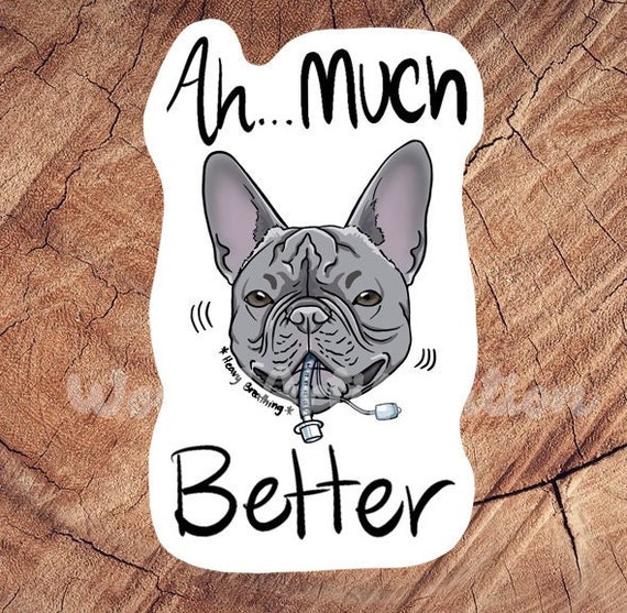 Ah Much Better Frenchie Sticker Waterproof Sticker Laminated - Etsy