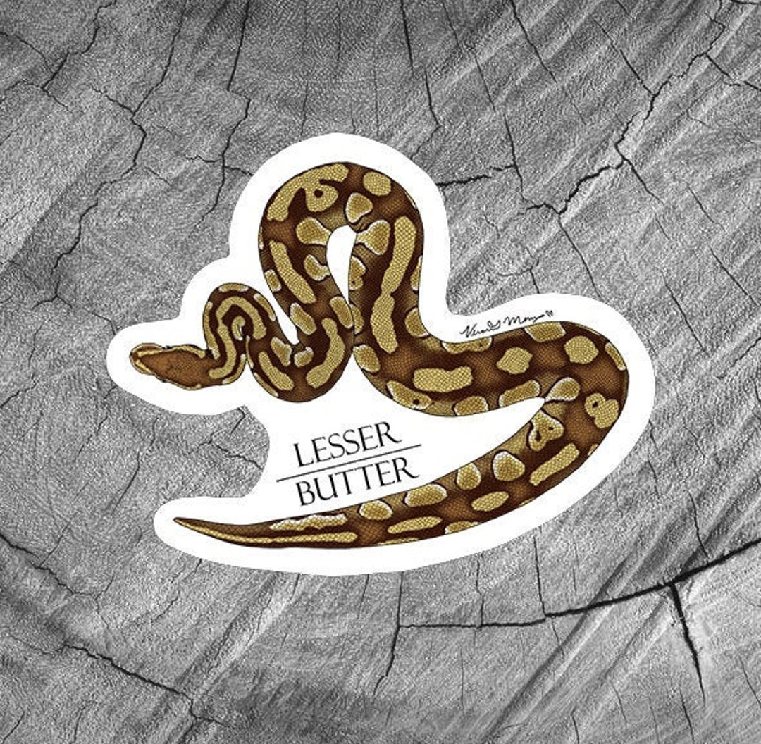 Ball Python Lesser/butter Morph Stickers, Laminated Stickers ...