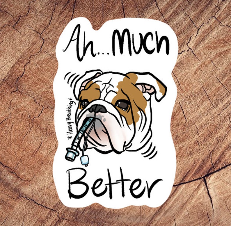 Ah Much Better Bulldog Sticker Waterproof Stickers Laminated - Etsy
