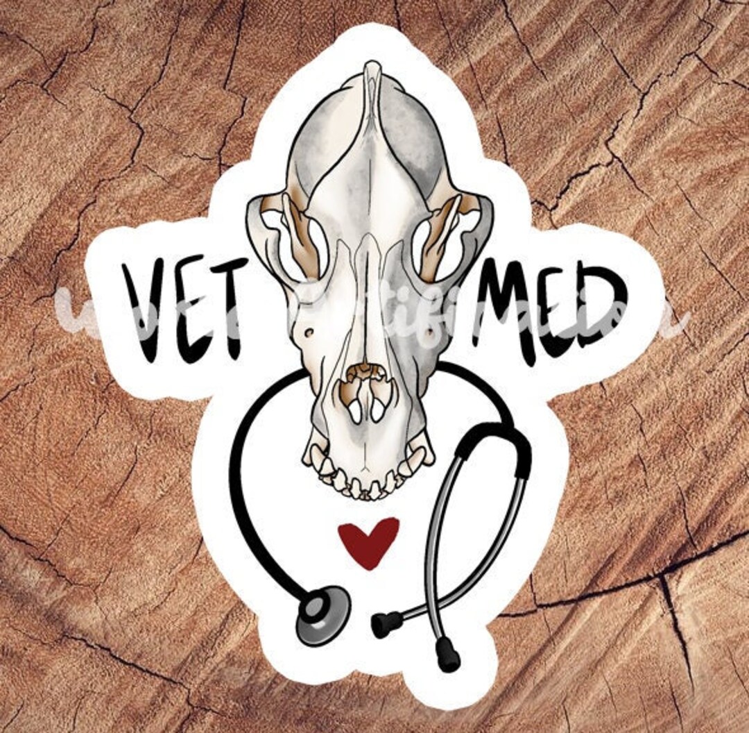 Vet Med Canine Skull Sticker, Laminated Sticker, Waterproof Sticker ...