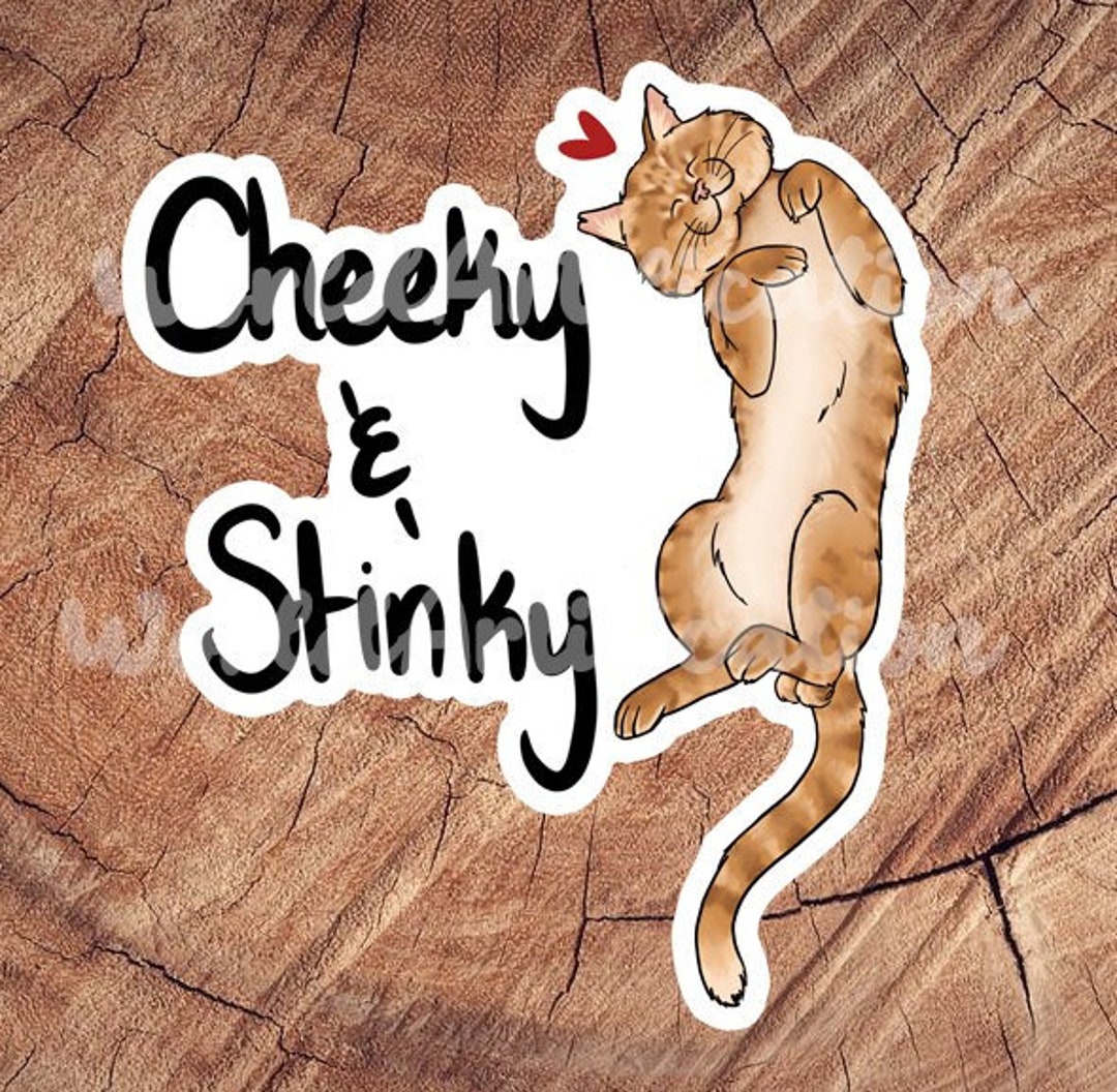 Cheeky and Stinky Sticker, Waterproof Stickers, Laminated Stickers, Vet ...