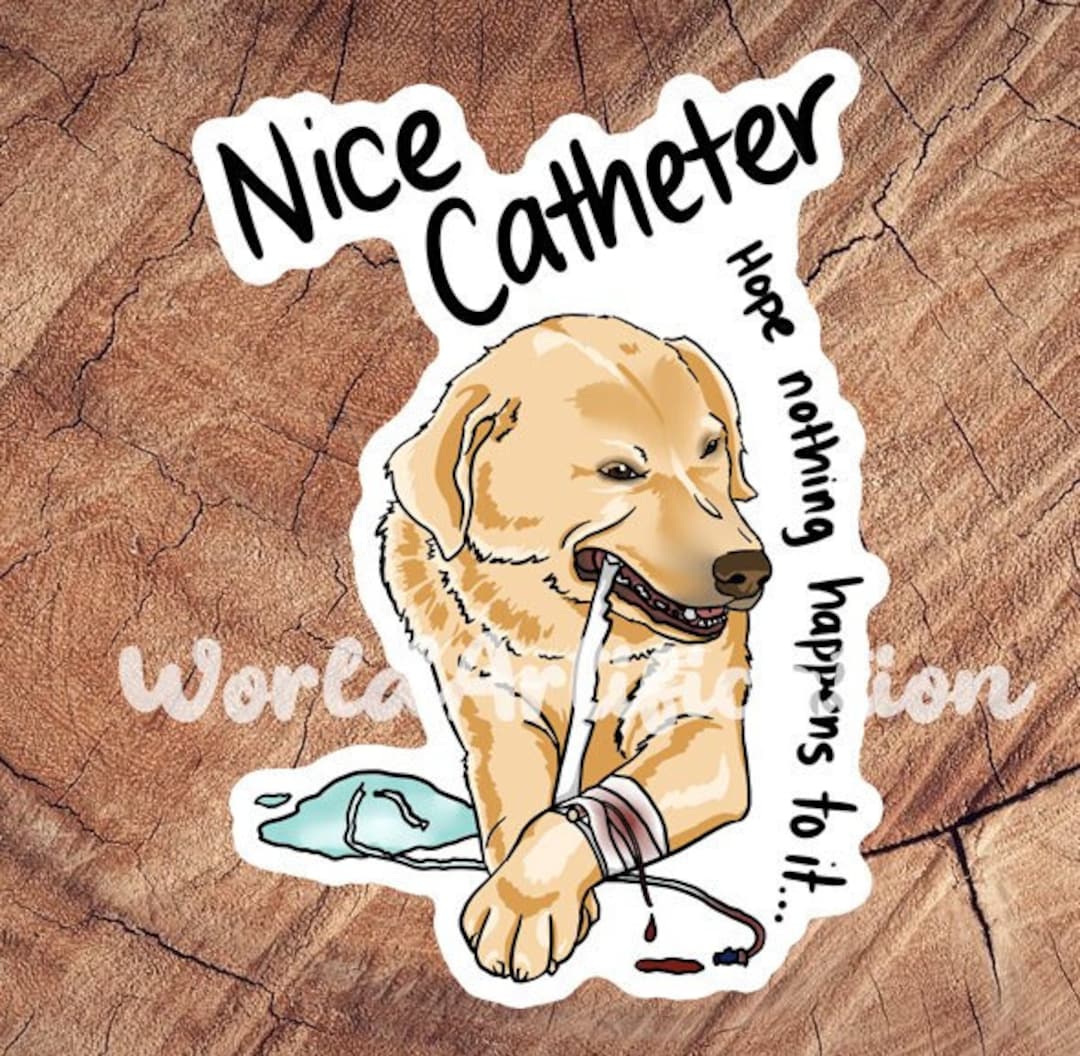 IV Catheter Sticker, Waterproof Sticker, Laminated Sticker, Vet Med ...