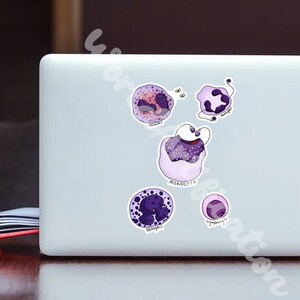 White Blood Cell Stickers, Set of 5, Waterproof Stickers, Laminated ...
