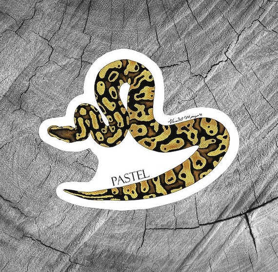 Ball Python Pastel Morph Stickers Laminated Stickers | Etsy