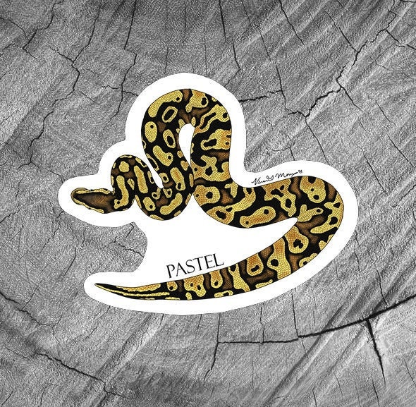 Ball Python Pastel Morph Stickers Laminated Stickers | Etsy