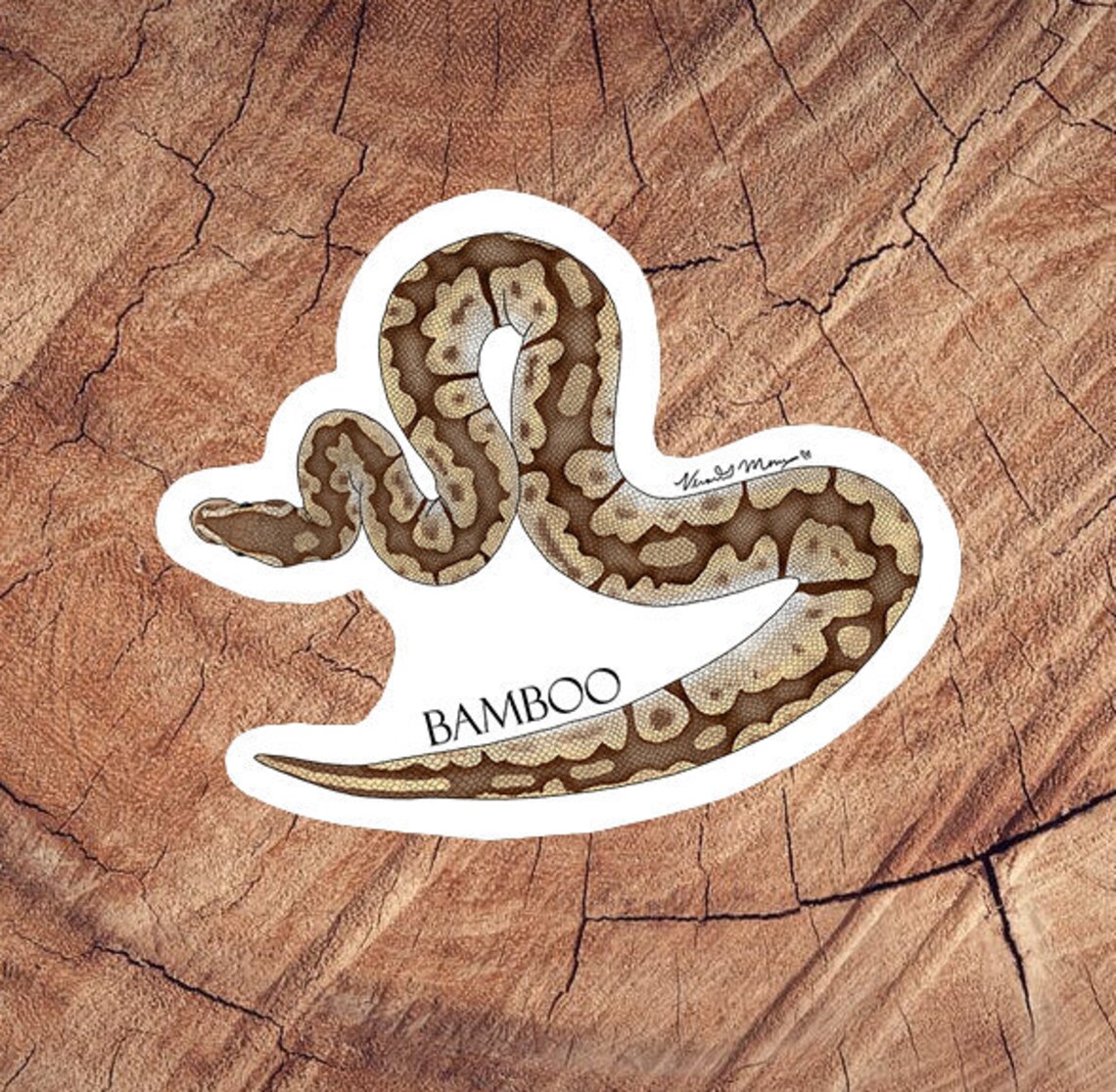 Ball Python Bamboo Morph Stickers Laminated Stickers | Etsy