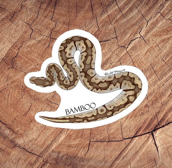 Ball Python Bamboo Morph Stickers Laminated Stickers - Etsy