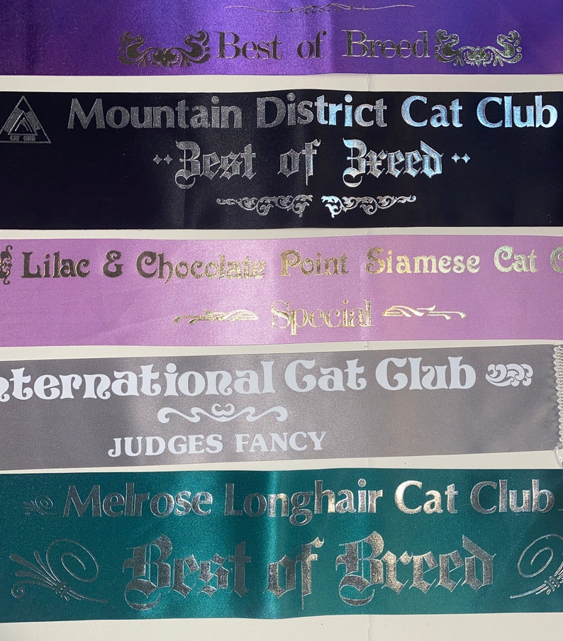 5 Fancy 44cm-75cm Long Australian Vintage Cat Show Ribbons - Etsy Australia