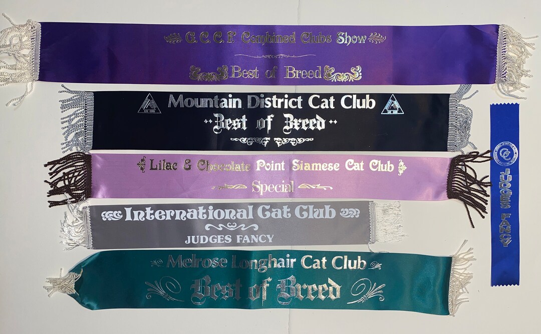 5 Fancy 44cm-75cm Long Australian Vintage Cat Show Ribbons - Etsy Australia