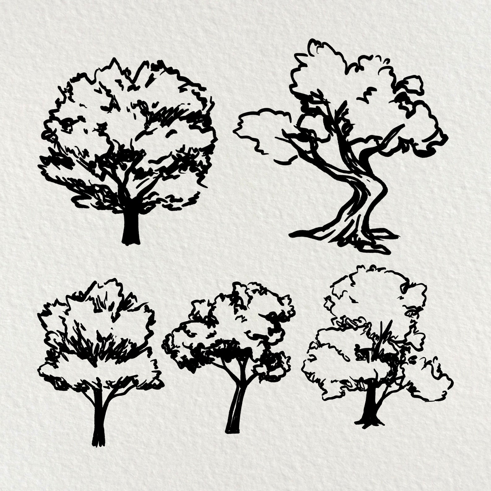 20 Ink Trees Stamps for Procreate Trees Procreate Stamps - Etsy