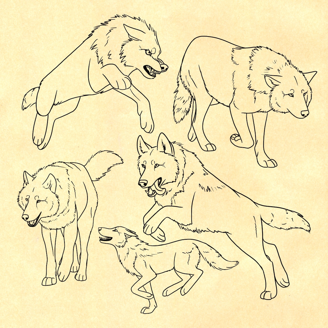 35 Wolf Reference Stamps for Procreate Dynamic Wolf Procreate - Etsy