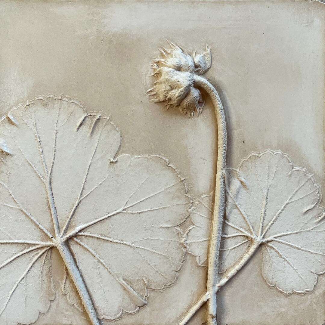 Geranium Plaster Wall Art, Botanical Bas Relief, Imprint Casting ...