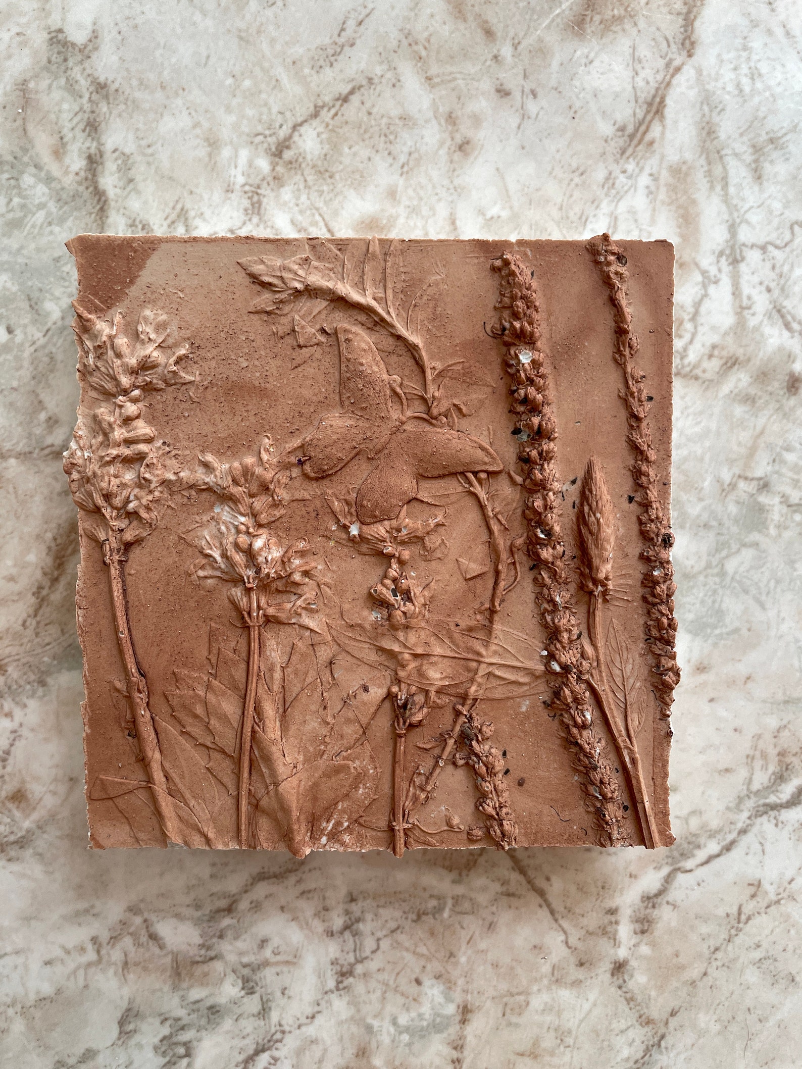 Garden Butterfly Botanical Bas Relief Flower Fossil Casting - Etsy