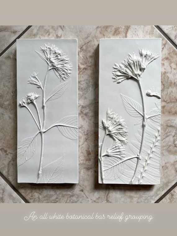 Flower Fossil
