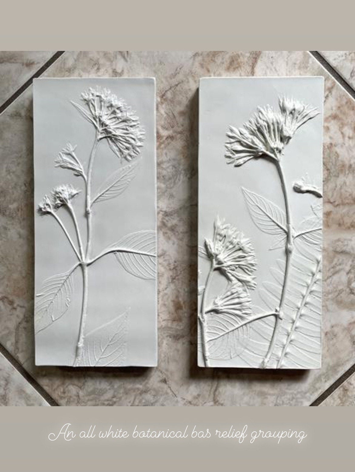 Daisy 3D Flower Fossil Artwork Botanical Bas Relief | Etsy