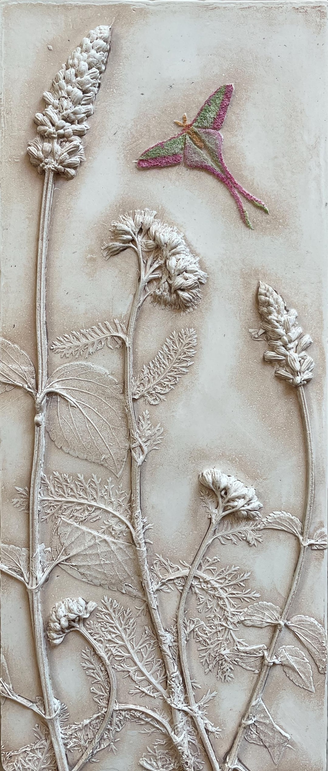 Moon Moth Plaster Wall Art, Purple Salvia Botanical Bas Relief, Yarrow ...