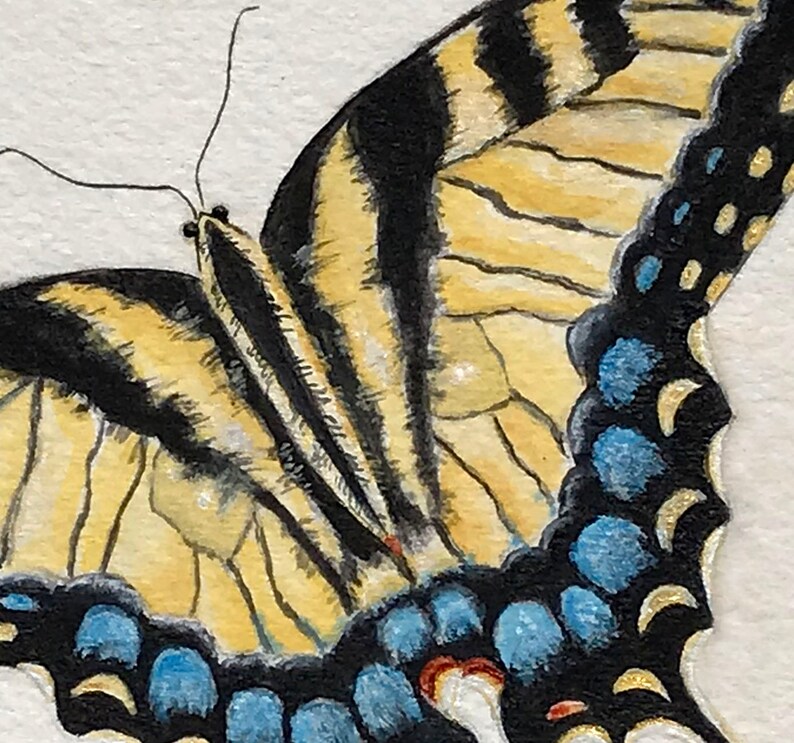 Swallowtail Butterfly Artwork, Butterfly Wall Art, Original Butterfly ...