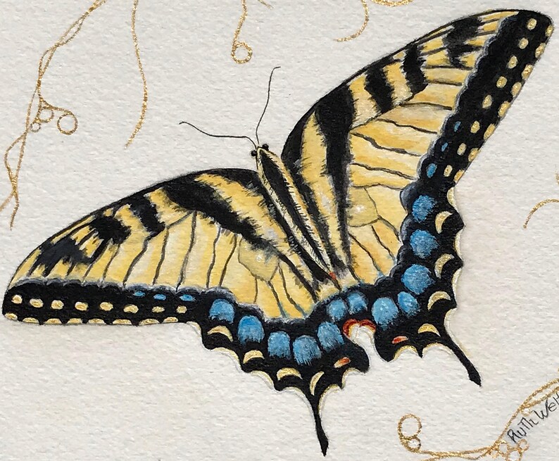 Swallowtail Butterfly Artwork, Butterfly Wall Art, Original Butterfly ...