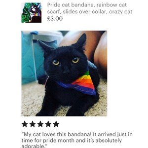 Pride Cat Bandana, Rainbow Cat Scarf, Slides Over Collar, Crazy Cat ...