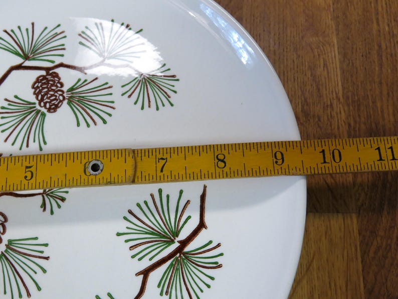 Great 60's Vintage Set of Stetson Misty Pine Pattern Hand Painted ...